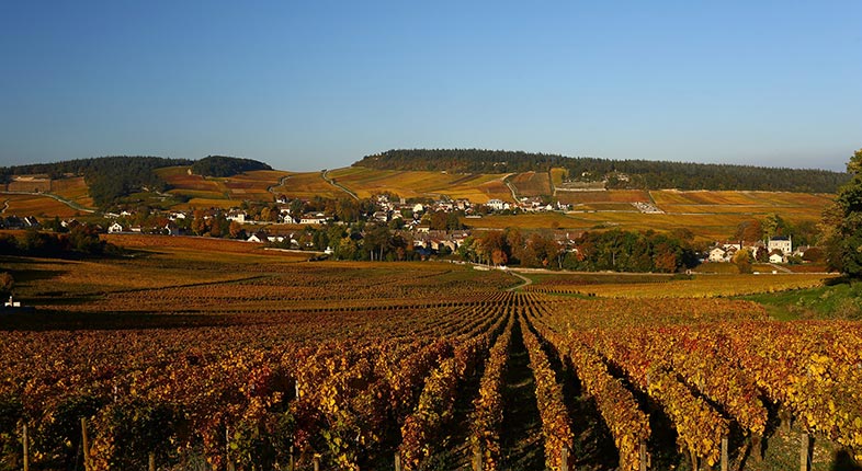 Mercurey - Le Grand Chalon Agglomération