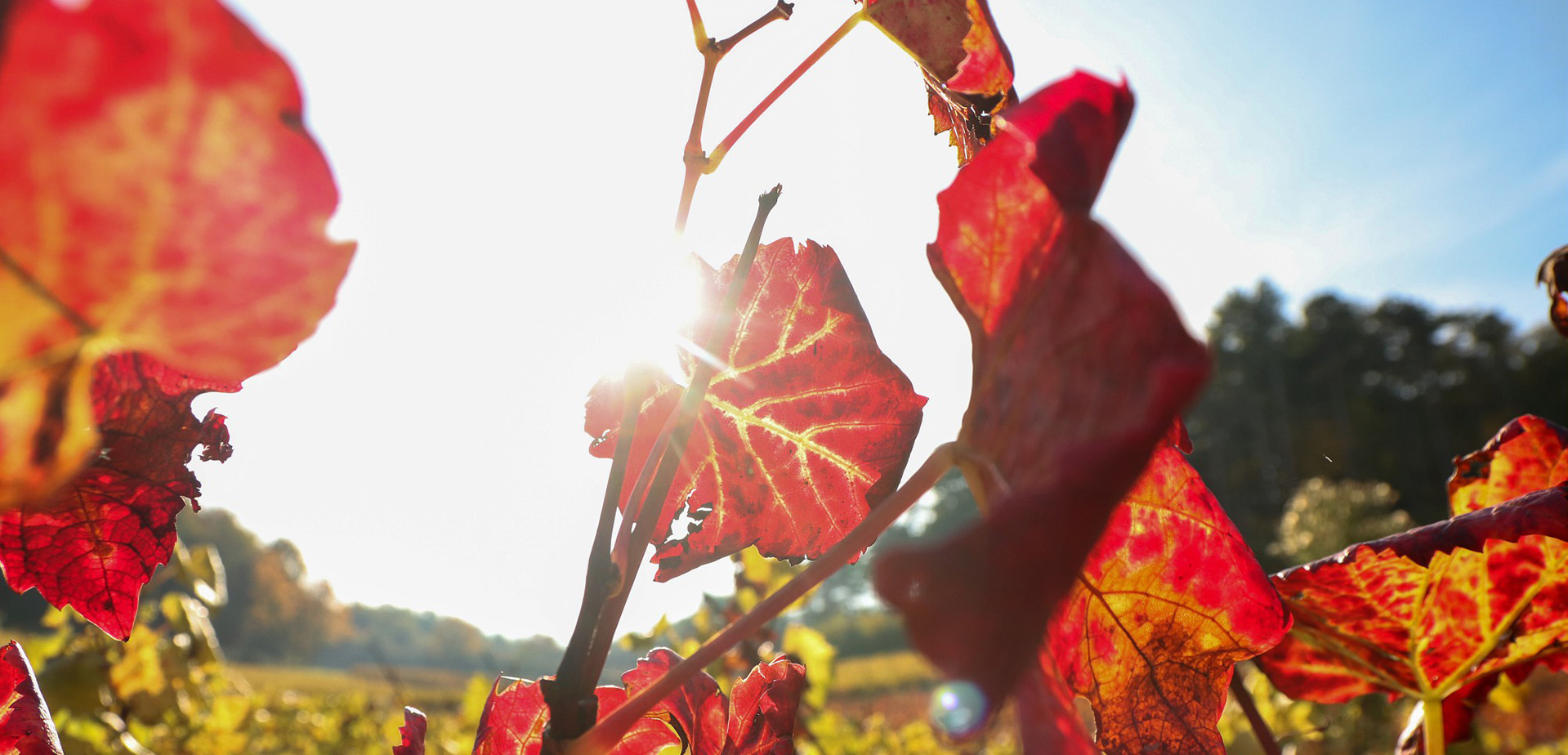 Page d’accueil - Le Grand Chalon Agglomération